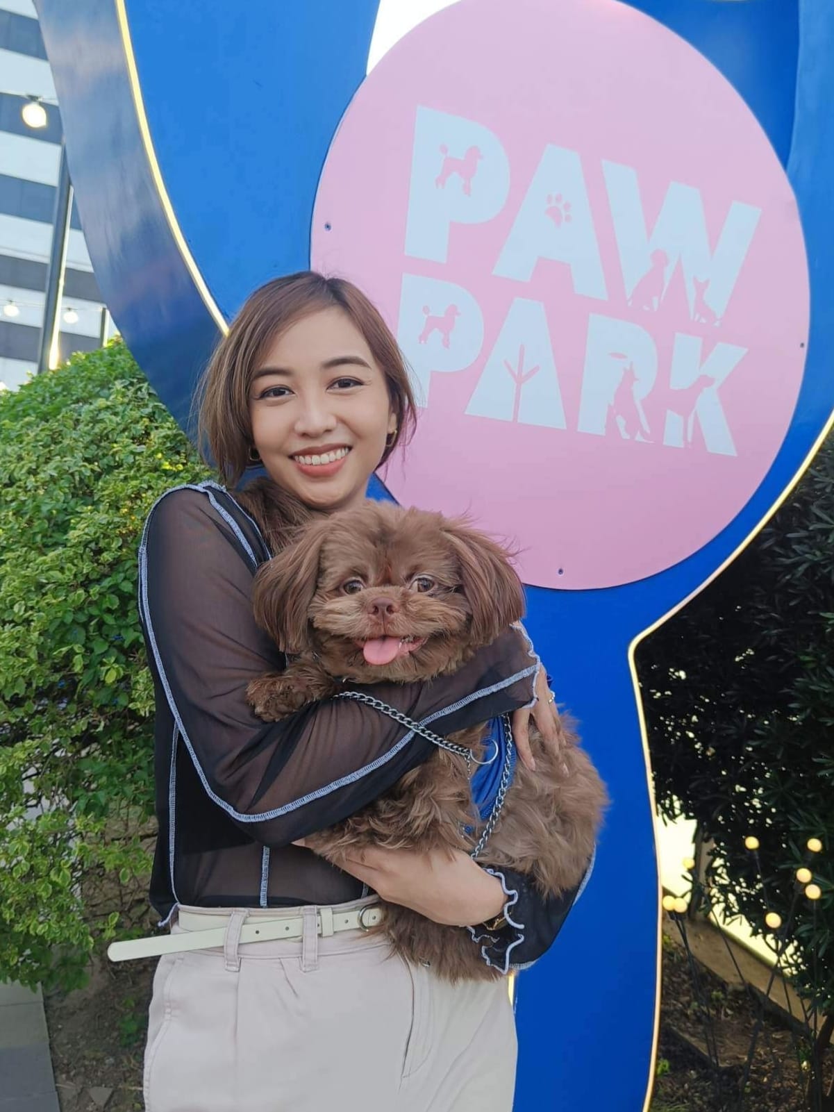 Here’s how you can get exclusive access to SM Paw Park, treats for your ...